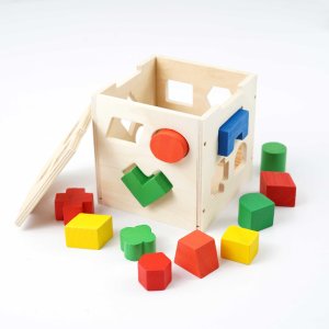 Buy Wooden Fifteen Shapes Intelligence Box in Sri Lanka